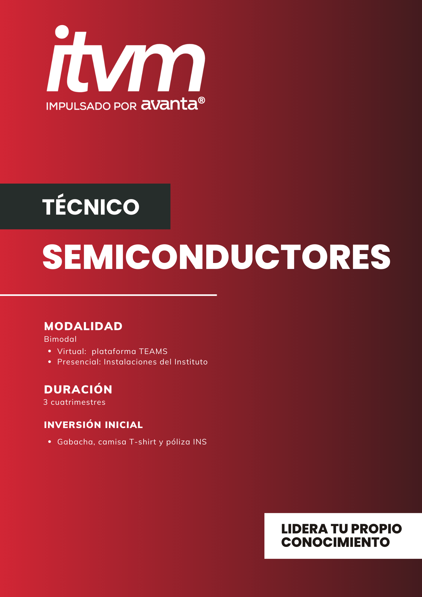 Semiconductores - ITVM Liderazgo Automotriz
